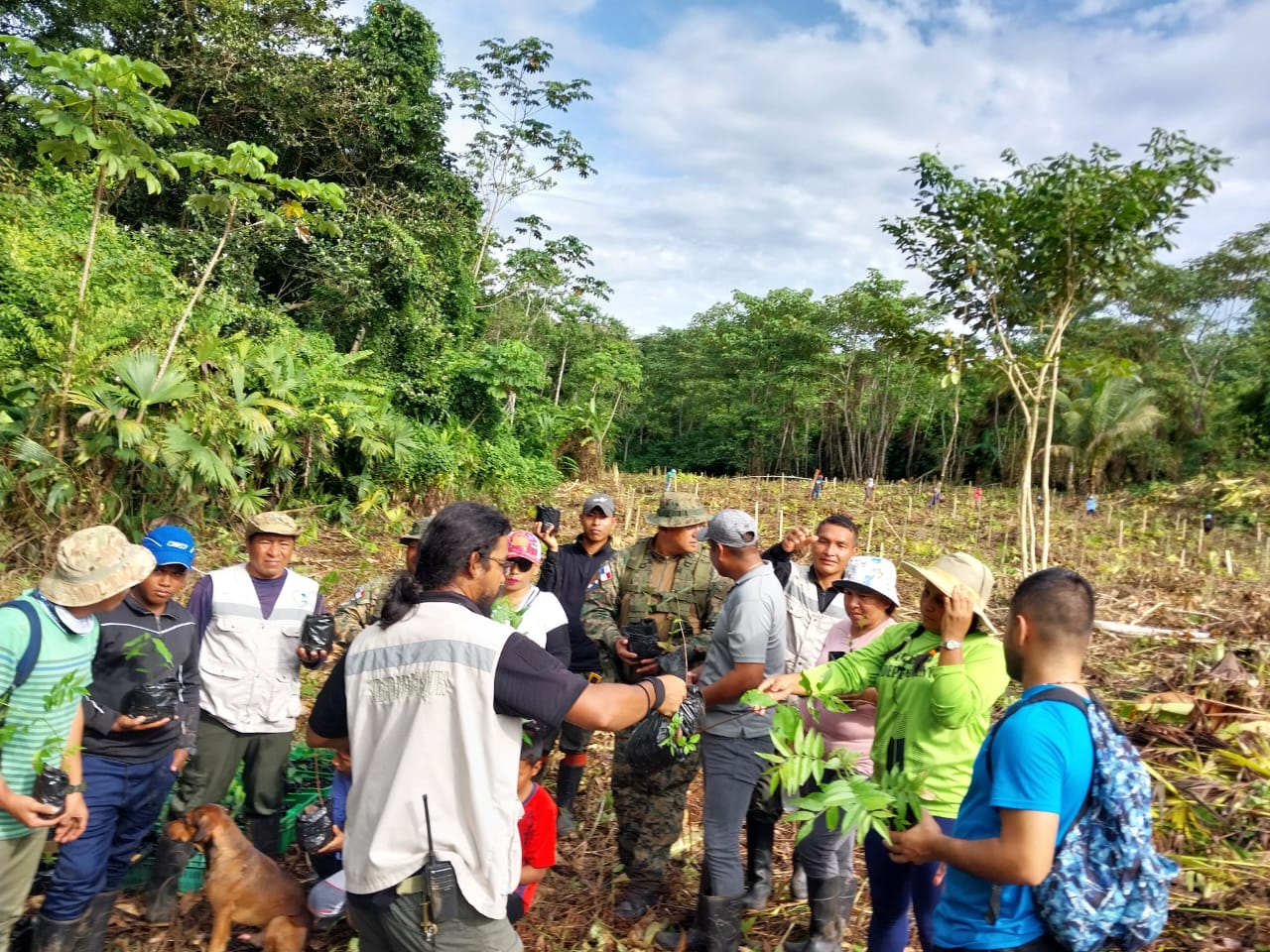 Reforestation – Future Minds Foundation